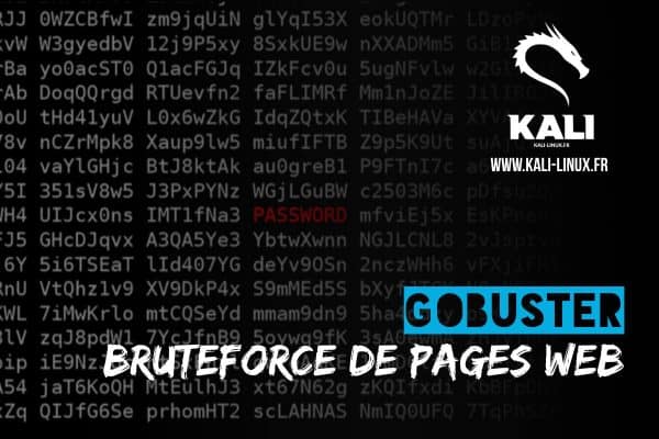 Gobuster : Le bruteforce de pages web – Kali-linux.fr