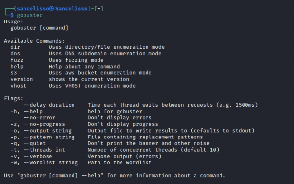 Gobuster : Le bruteforce de pages web – Kali-linux.fr